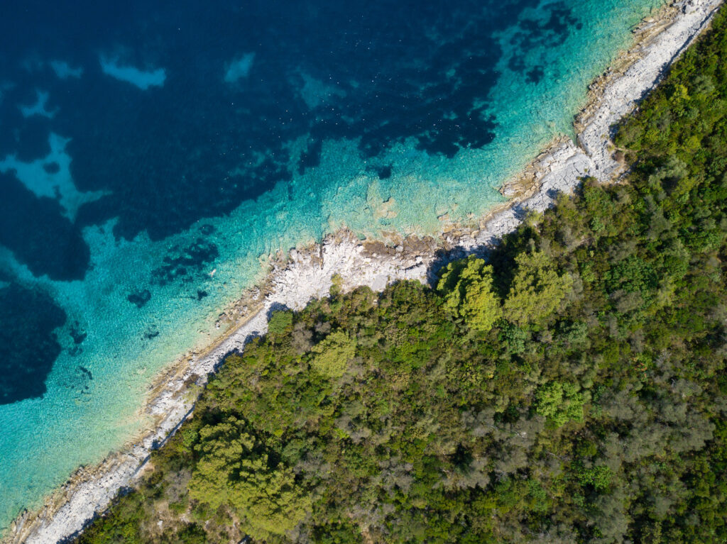 Event: Understanding OECMs to achieve the 30 by 30 target - EBCD