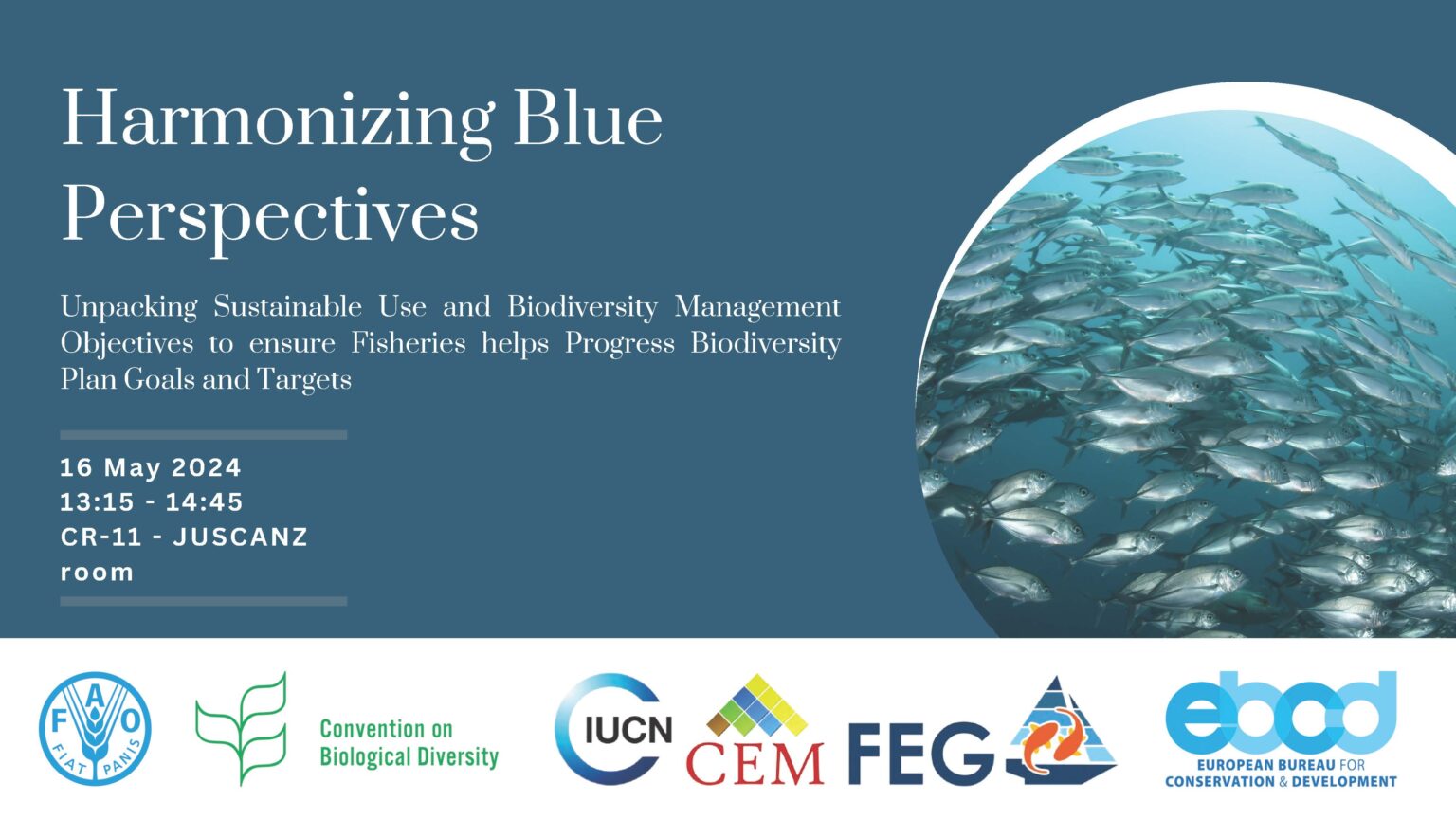 News/Publications - EBCD