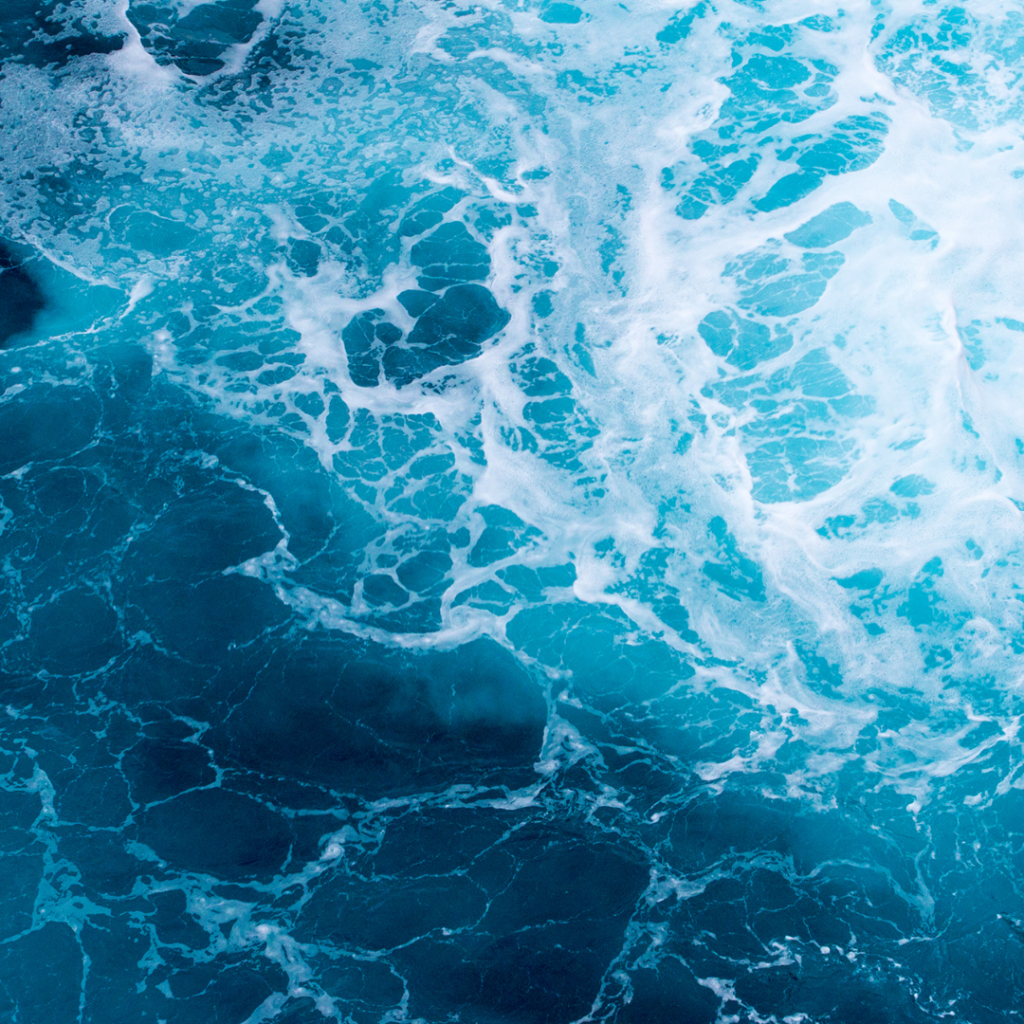 Event: The Contribution of Fisheries and Aquaculture to Food Security ...